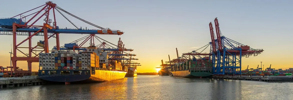Containers: Types and uses | Complete guide to transport